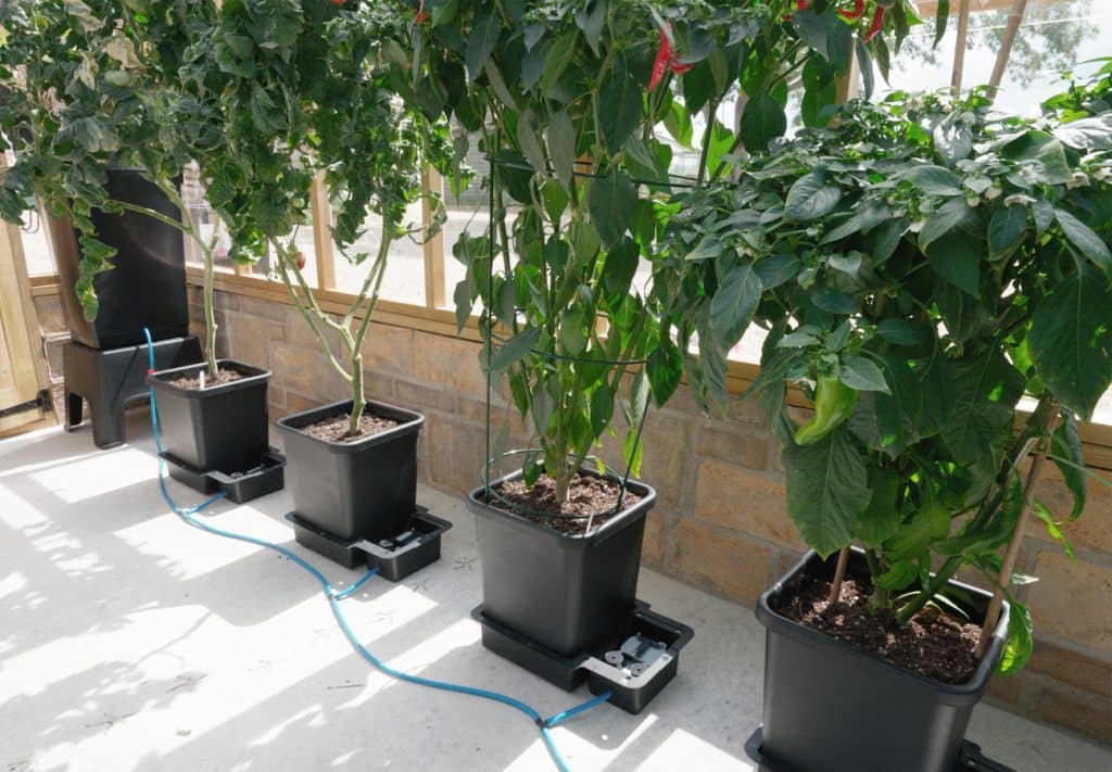 4Pot System | AutoPot Watering Systems UK