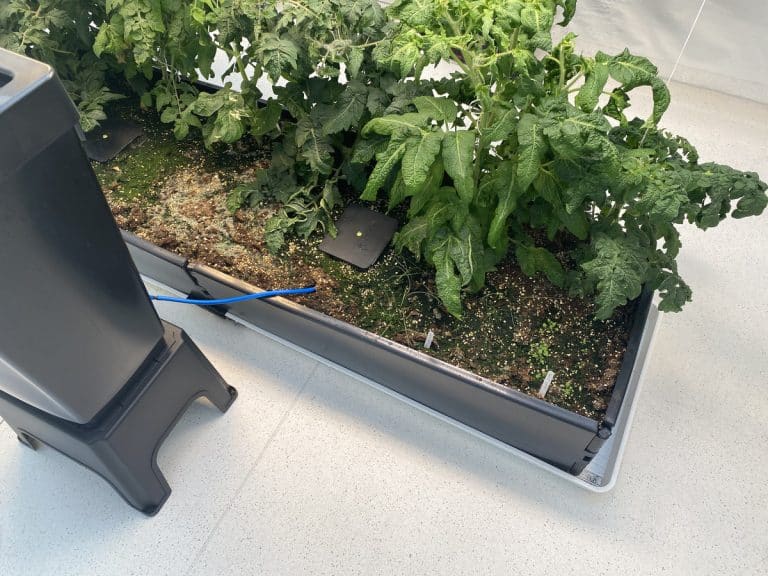 AQUAbox Straight | AutoPot Watering Systems UK