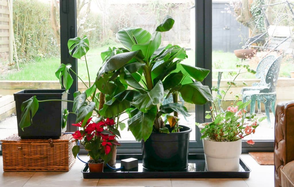 easy2GO Kit | AutoPot Watering Systems UK