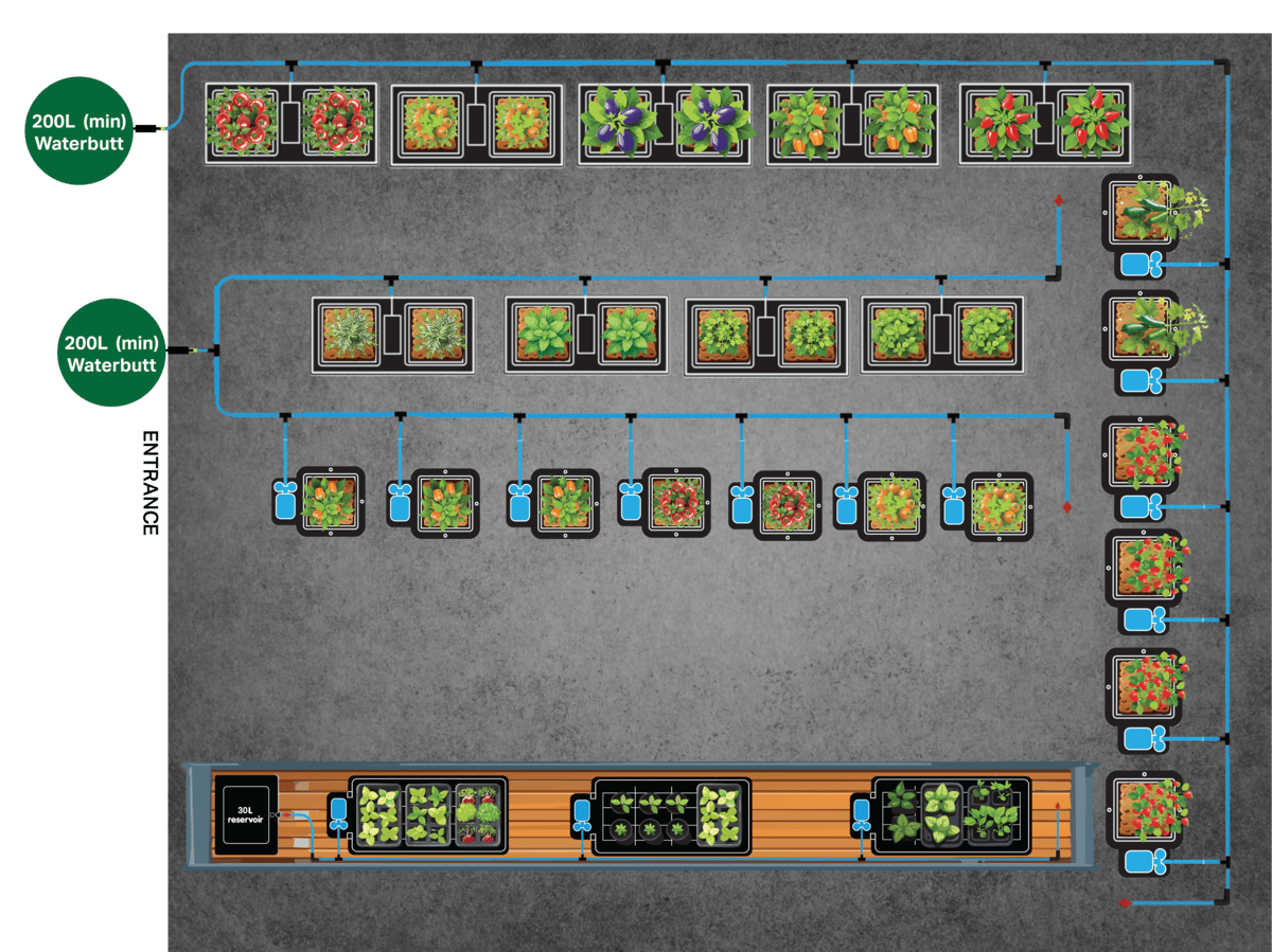 Triple Tray2Grow With 13Pot System and easy2grow 18 | AutoPot Watering ...